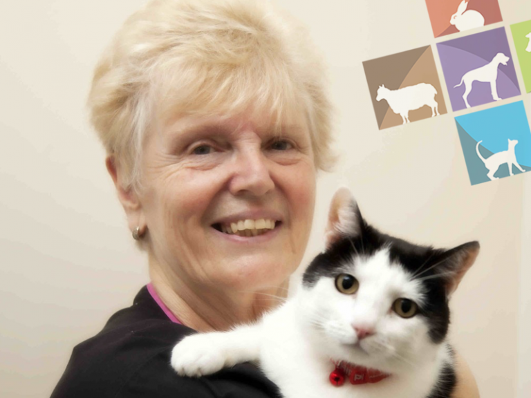 Team – Daleside Vets