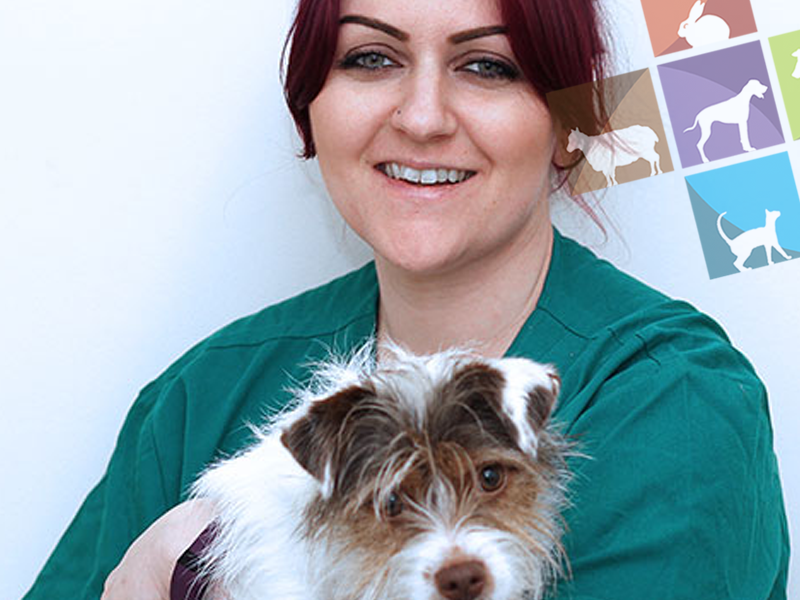 Team – Daleside Vets