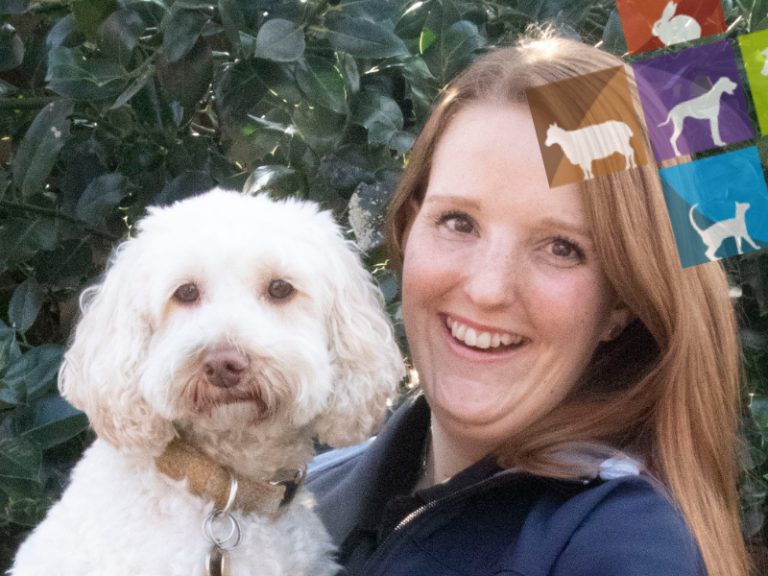 Team – Daleside Vets