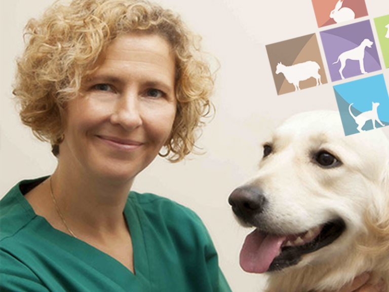 Team – Daleside Vets