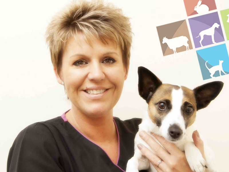 Team – Daleside Vets