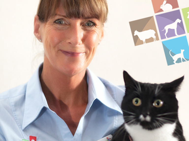 Team – Daleside Vets