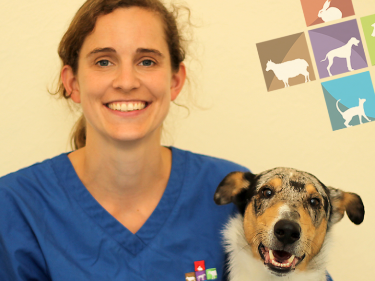 Team – Daleside Vets