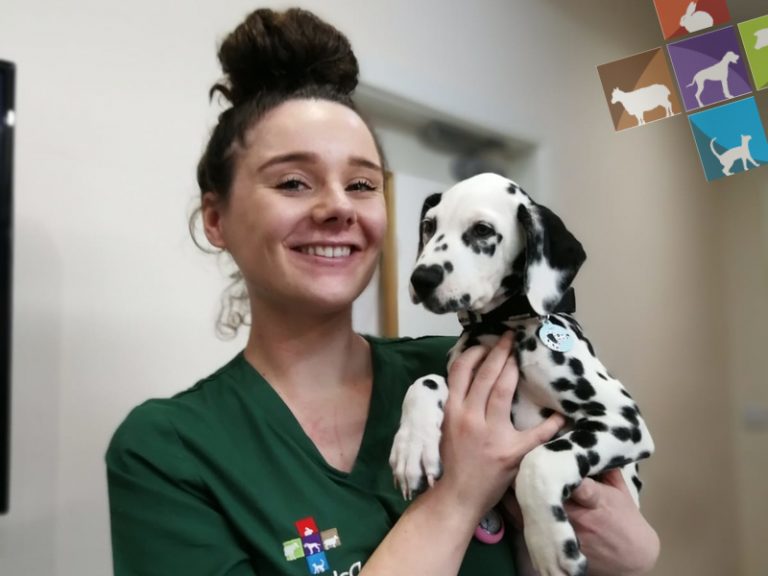 Weekly Roundup - 25th January 2019 - Daleside Vets