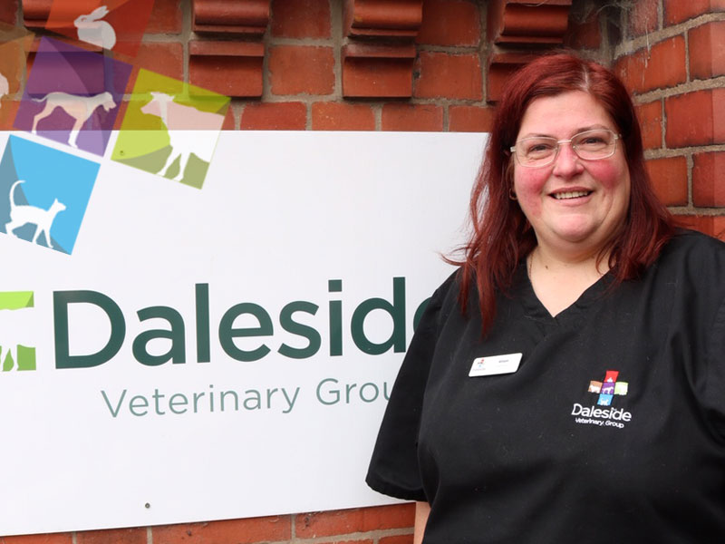 Team – Daleside Vets