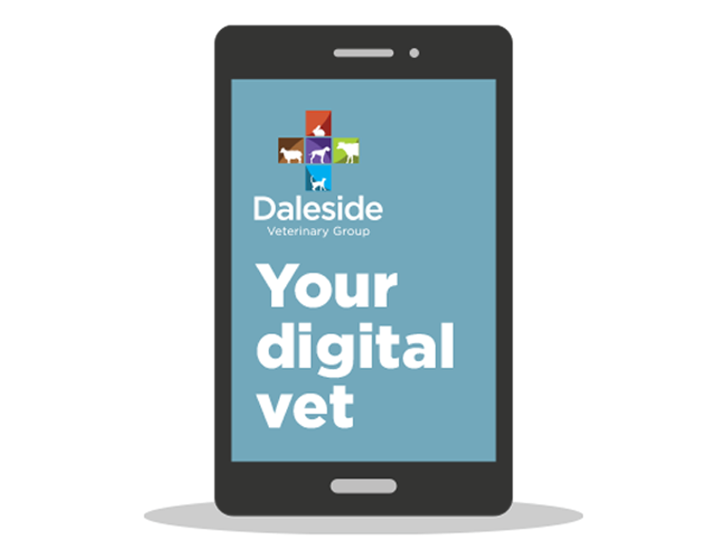 Home - Daleside Vets
