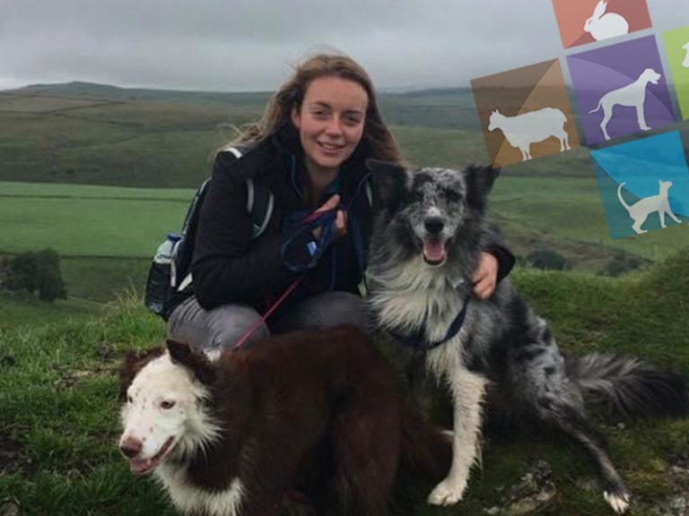 Team – Daleside Vets