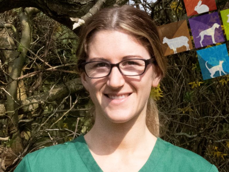 Team – Daleside Vets