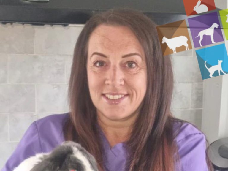 Team – Daleside Vets