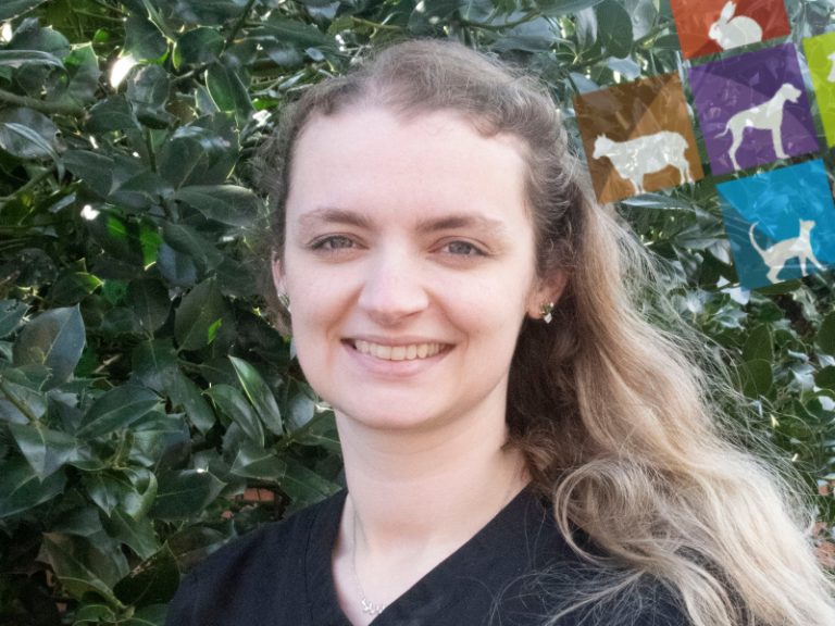 Team – Daleside Vets