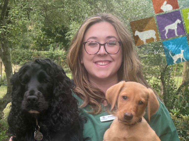 Team – Daleside Vets