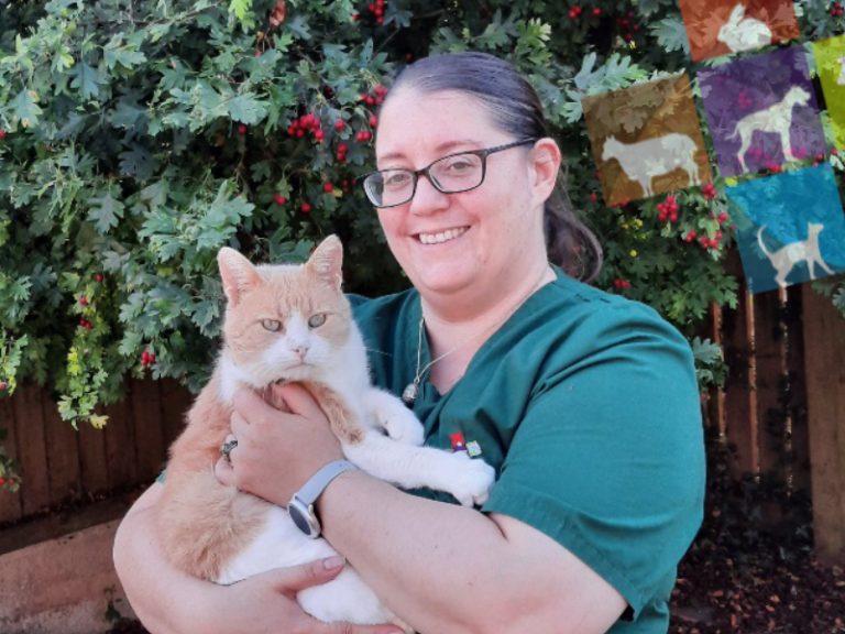 Team – Daleside Vets