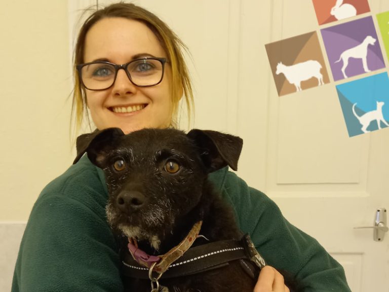 Team – Daleside Vets