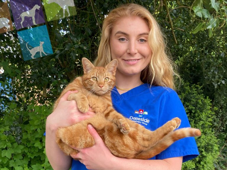 Team – Daleside Vets