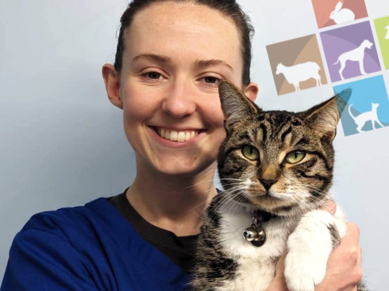 Team – Daleside Vets